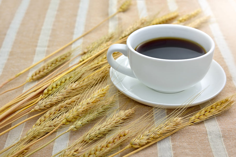 Barley coffee: properties, benefits and how to make it | Caffè Corsini
